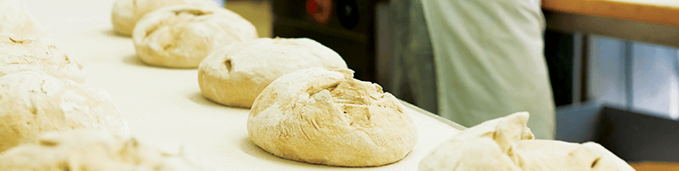 HACCP Tehlike Analizi Kritik Kontrol Noktası